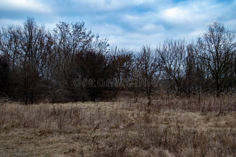 Autumn Landscape on a Cloudy Day with Leafless Trees and Gray Sky Stock ...