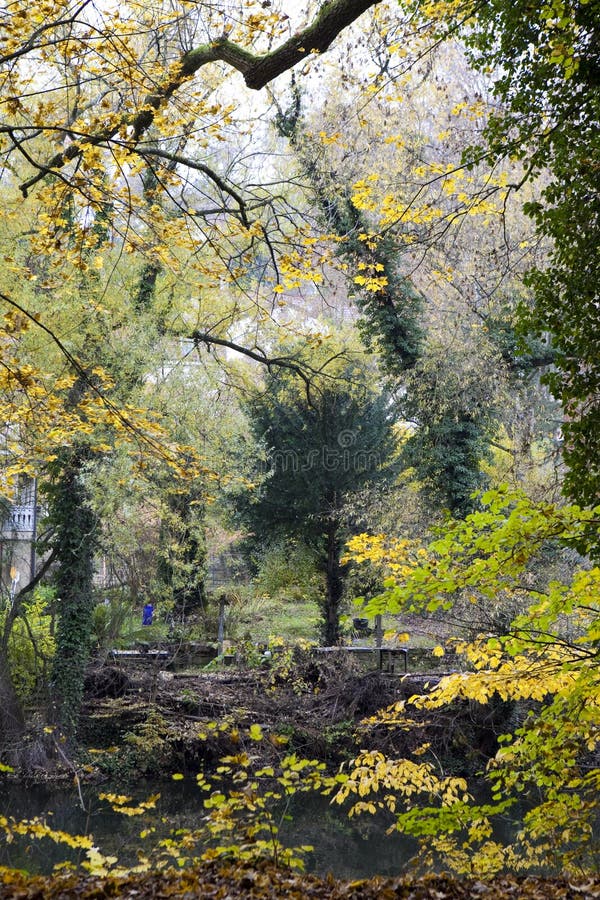 Autumn Landscape with Colored Trees Near River Stock Image - Image of ...
