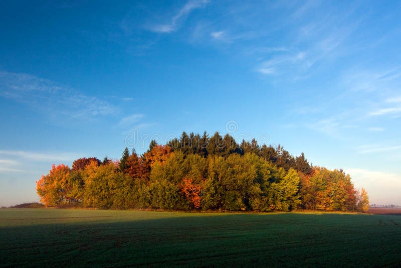 Autumn Landscape with Colorful Trees Stock Photo - Image of beauty ...