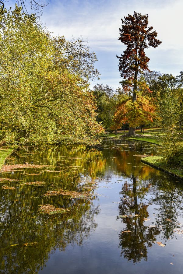 .Autumn Landscape of Colorful Trees Reflected in the Water Stock Photo ...