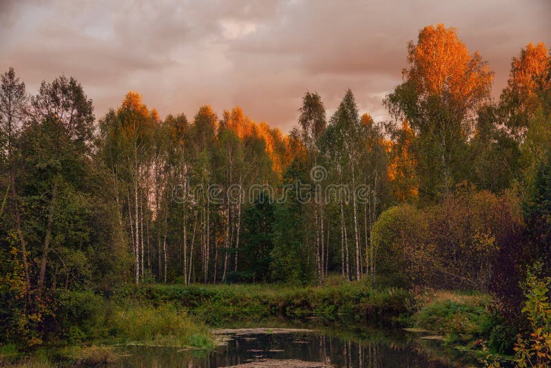 Autumn Landscape, Deciduous Forest with Sand Pits and Water, Sunset ...
