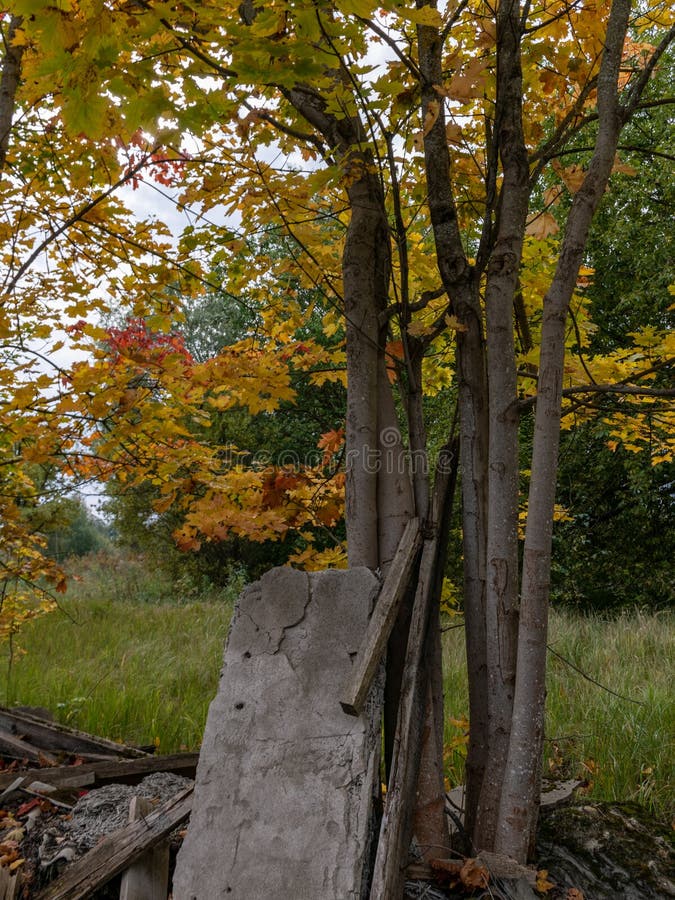Autumn Landscape with Demolition of the Building, Destroyed Building ...