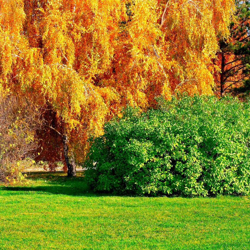 Autumn Landscape stock image. Image of area, foliage - 44063873