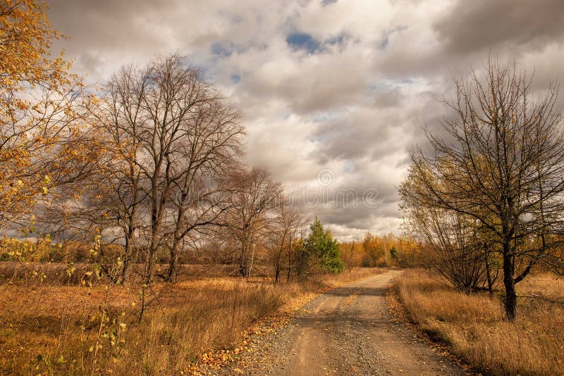 Autumn Landscape with Dirt Road among Trees and Autumn Sky Stock Image ...