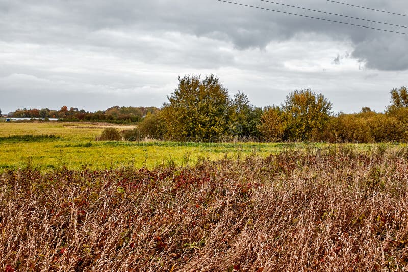 Autumn Landscape. Dramatic Sky and Orange Field. Leaf Fall. Stock Image ...