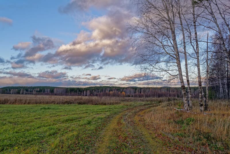 Autumn Landscape with Dried Grass in the Meadow on the Background of ...