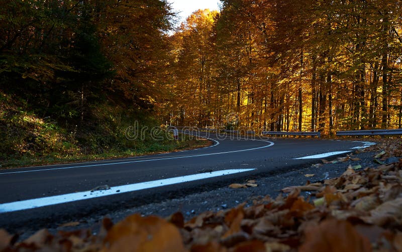 Autumn Landscape with Dry Leaves and an Empty Road Stock Photo - Image ...