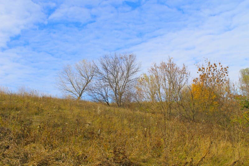 Autumn Landscape with Dry Meadow and Trees Stock Photo - Image of fall ...