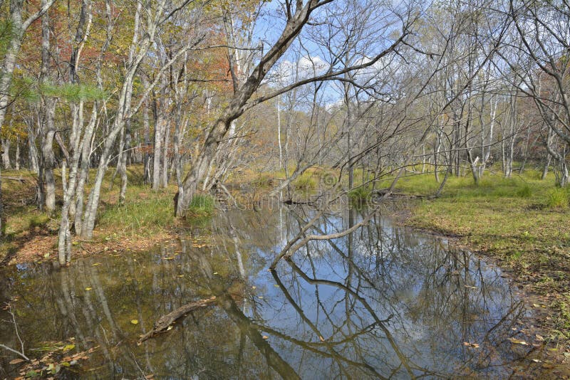 Autumn landscape 3 stock photo. Image of golden, reflection - 81905966