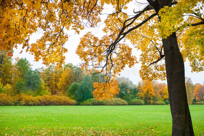 Autumn Landscape. Fall Scene Stock Image - Image of sheet, orange: 46574199