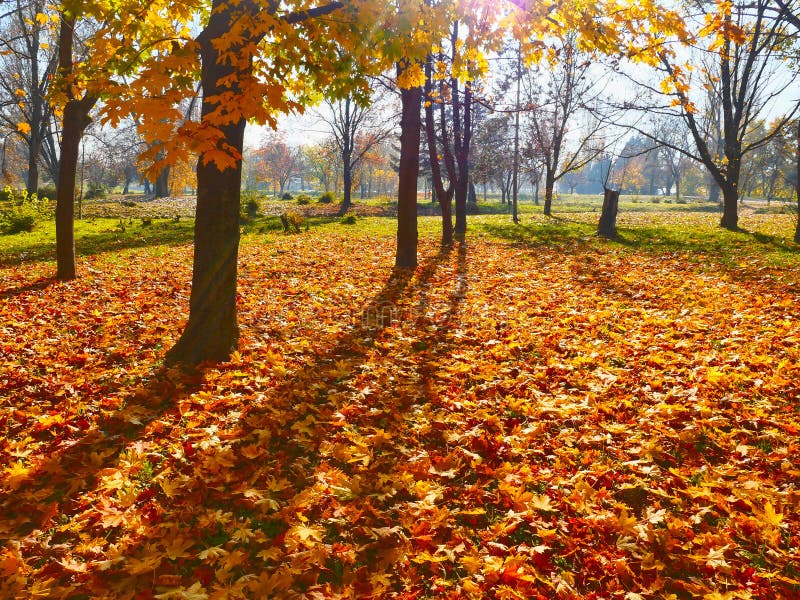 Autumn Landscape Fall Scene Trees Stock Photo - Image of landscape ...