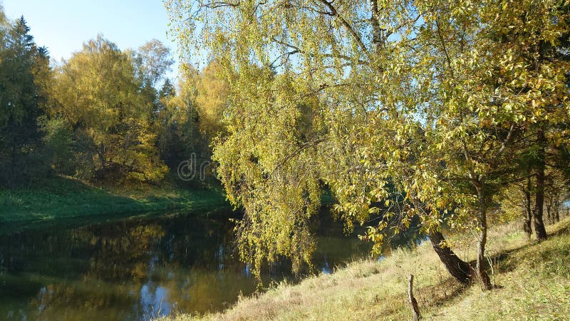 Autumn Landscape. Fall Scene.Trees and Leaves in Sunlight Rays Stock ...