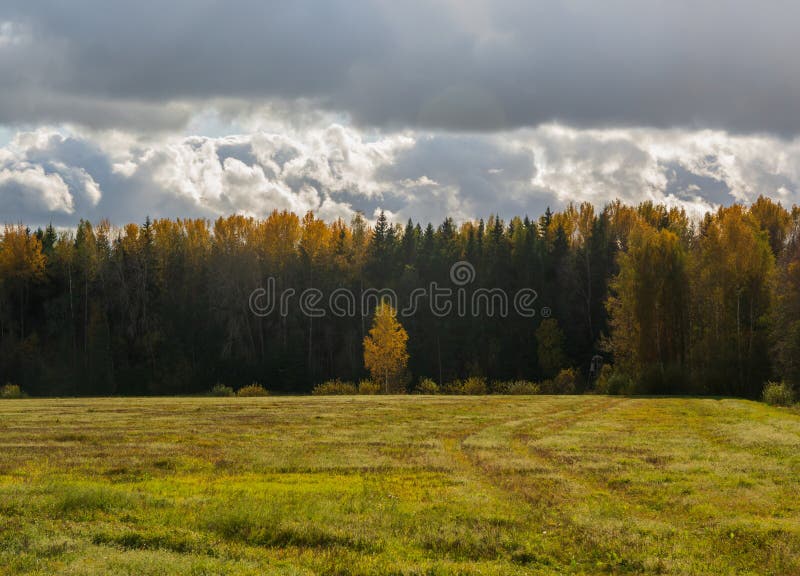 Autumn Landscape with Field and Trees . Stock Photo - Image of cloudy ...