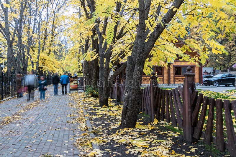 Autumn landscape editorial stock image. Image of grass - 61104099
