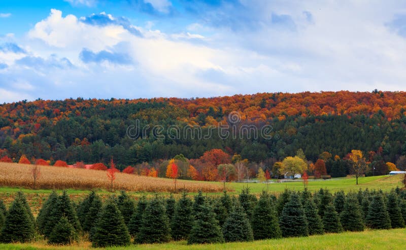 Autumn Landscape with Forest, Field and Sky. Stock Image - Image of ...