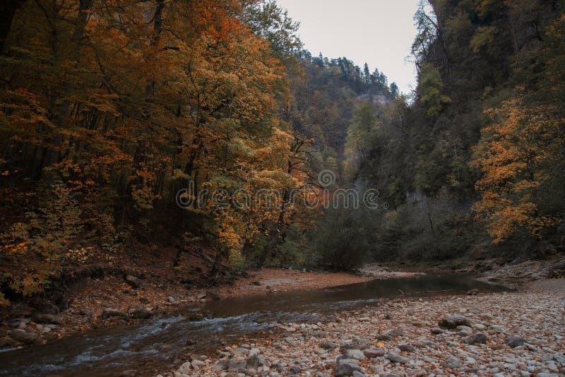 Autumn Landscape with Forest and Mountain River Stock Image - Image of ...