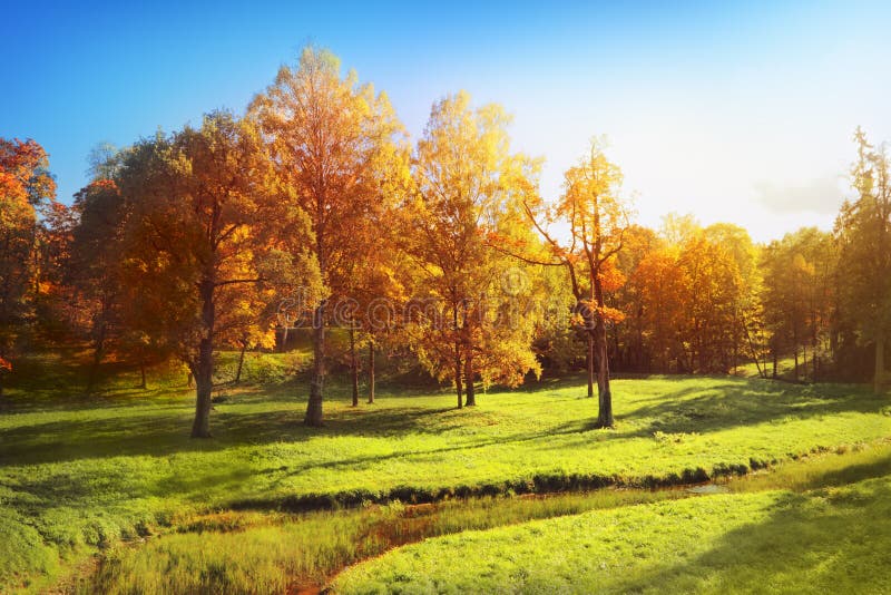 Autumn landscape stock photo. Image of autumn, field - 46021552
