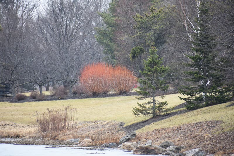 Autumn Landscape in the Midwest Stock Photo - Image of beauty, relax ...