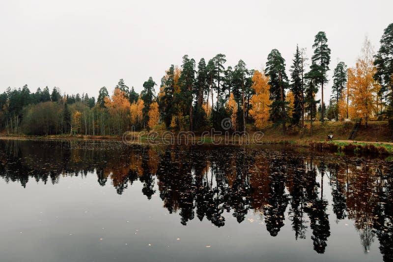 Autumn Landscape in the Forest, Reflection of Trees in the Water ...