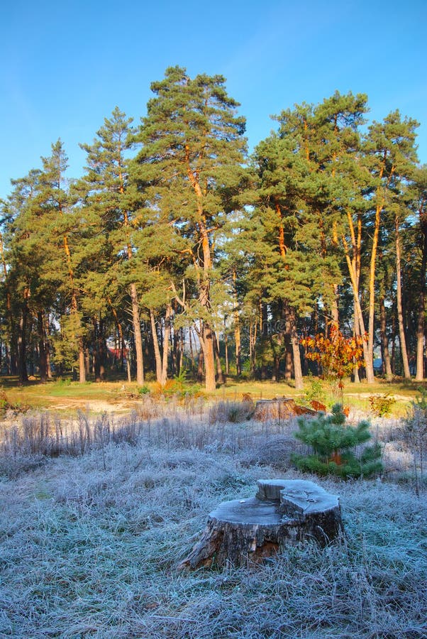 Autumn landscape. frost stock photo. Image of beautiful - 27196652