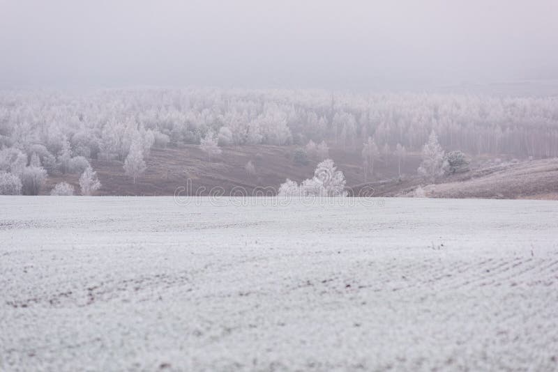 Autumn Landscape with Frost Stock Photo - Image of morning, nature ...