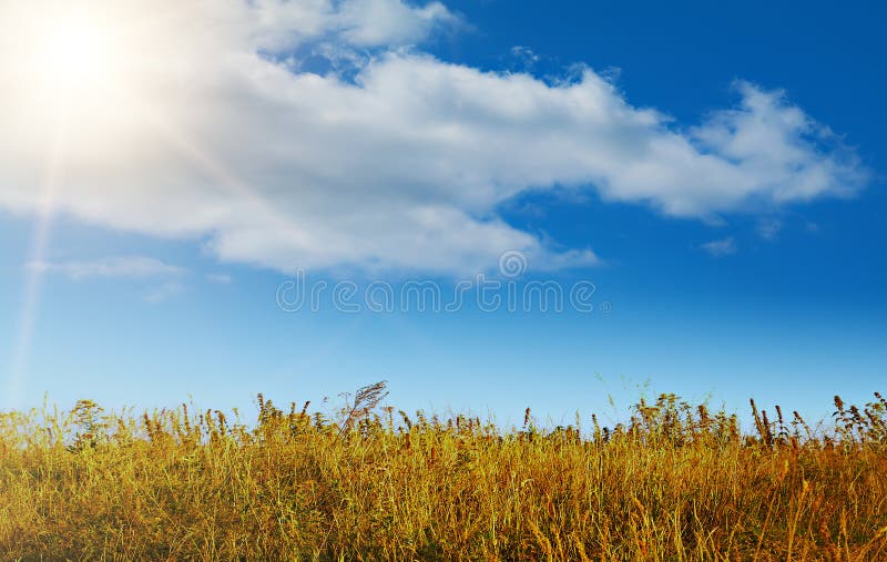 Autumn Landscape in Good Warm Weather Stock Photo - Image of nature ...