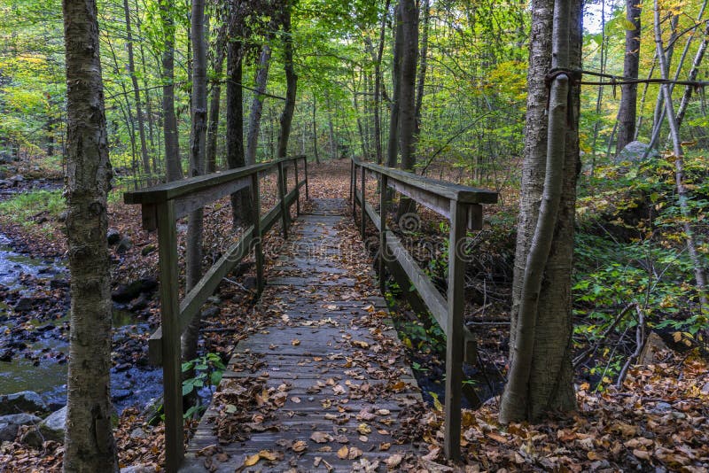 Autumn Landscape of Green Forest with Bridge Leading into the Scene ...