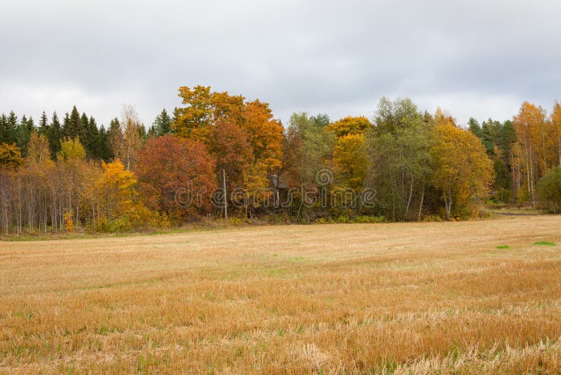 Harvested Crop Autumn Landscape Stock Image - Image of landscape ...