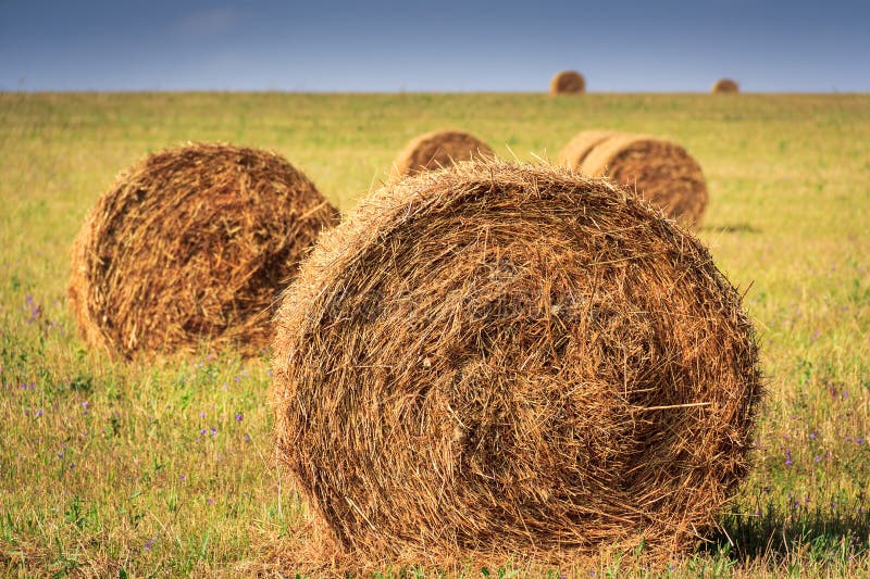 Autumn Farm Landscape with Haystack Stock Photo - Image of farm, growth ...