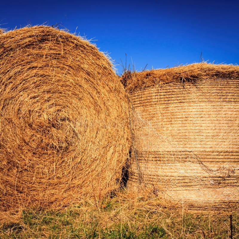 Autumn Farm Landscape with Haystack Stock Image - Image of growth ...