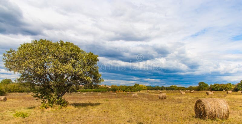 Autumn Landscape with Haystacks Field and Single Trees. Stock Image ...