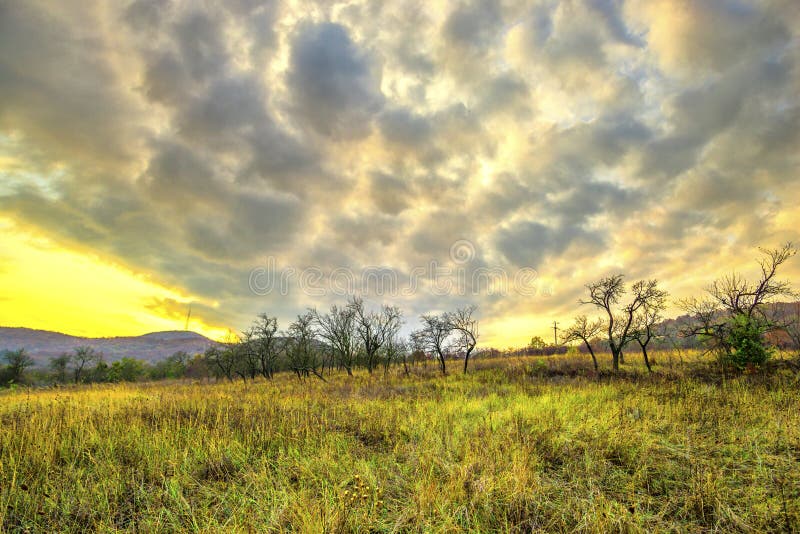 Autumn Landscape Inside of the Forest Stock Image - Image of amazing ...