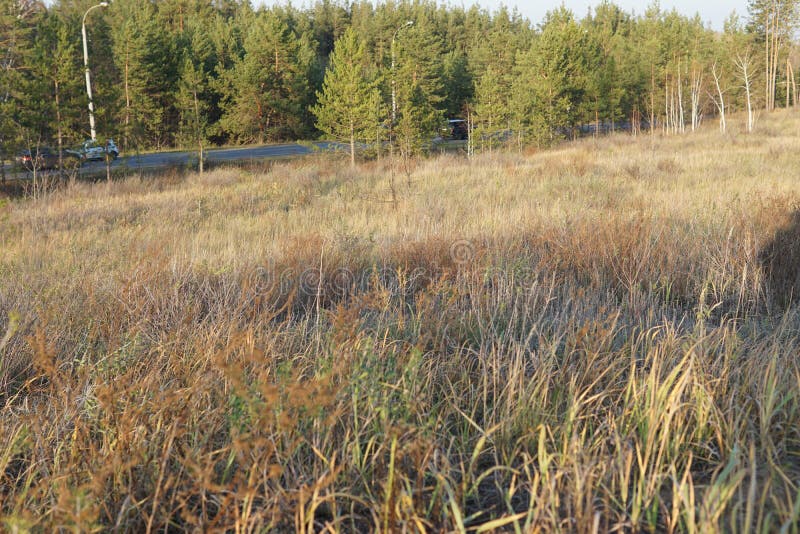 Autumn Landscape, a Large Open Area of Grassland Stock Image - Image of ...