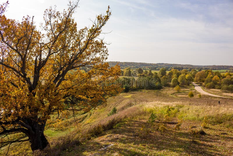283 Oak Tree Bend Stock Photos - Free & Royalty-Free Stock Photos from ...