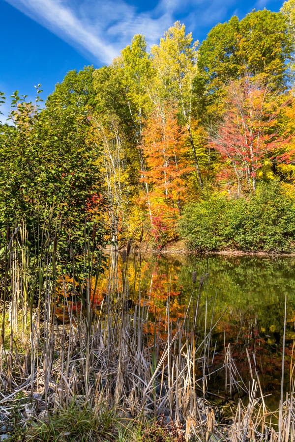 Autumn Landscape, Mirror Effect on Water Stock Image - Image of colors ...