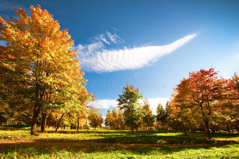 Autumn landscape stock image. Image of vibrant, horizontal - 14198571