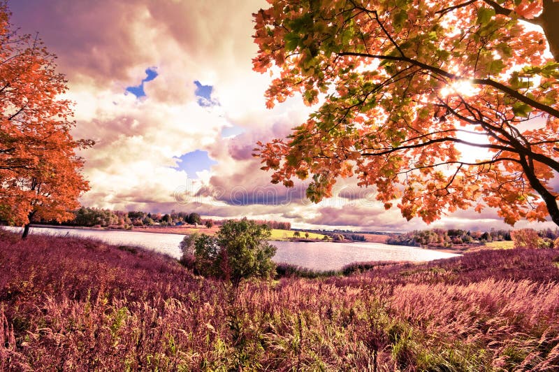 Autumn landscape stock image. Image of vibrant, horizontal - 14198571