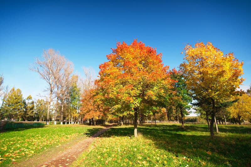 Autumn landscape stock image. Image of vibrant, horizontal - 14198571
