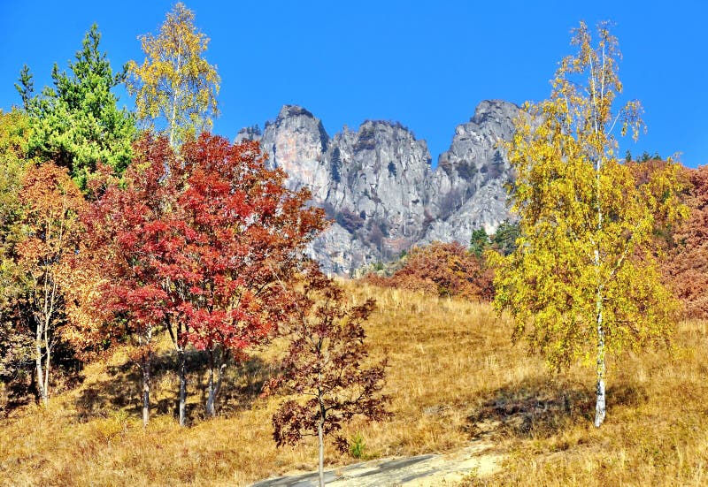 Autumn Landscape in Romania Stock Image - Image of forest, leaf: 79481411