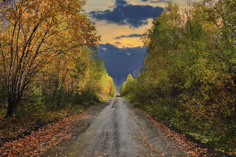 Autumn Landscape Multi-colored Foliage of Forest Trees in the Mountains ...