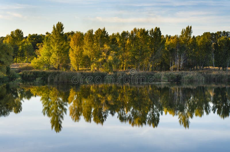 Multi-colored Forest Reflected in the Water Stock Image - Image of ...