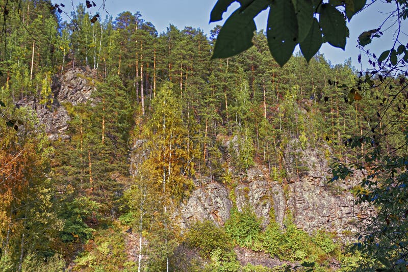 Autumn Landscape with Multi-colored Leaves of Trees Stock Image - Image ...