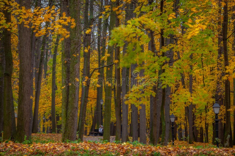 Autumn Landscape, October Park View with Path Under Colorful Deciduous ...