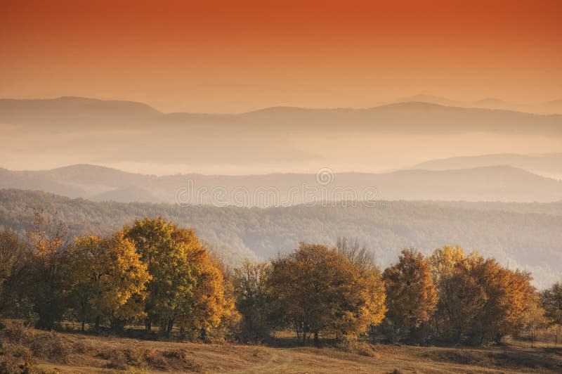 Autumn Fall Forest Landscape Magic Book Pages Stock Image - Image of ...