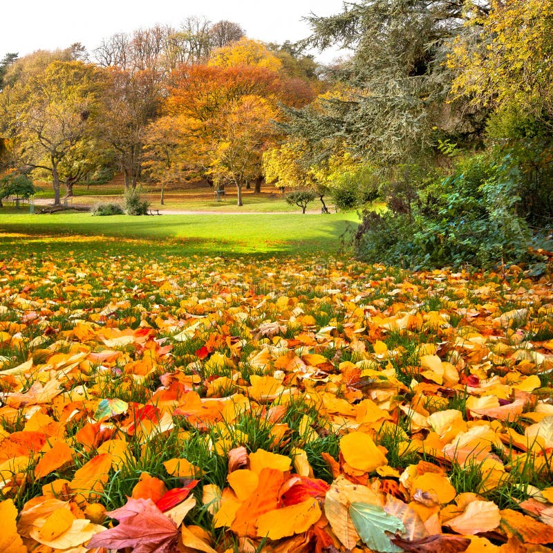 Sunny Autumn Day in City Park Stock Photo - Image of outdoors, park ...