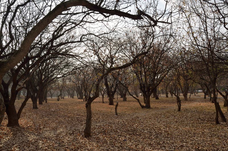 Autumn landscape stock image. Image of countryside, season - 35835207