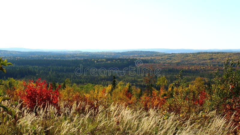 Autumn landscape of Quebec stock image. Image of forest - 45068079