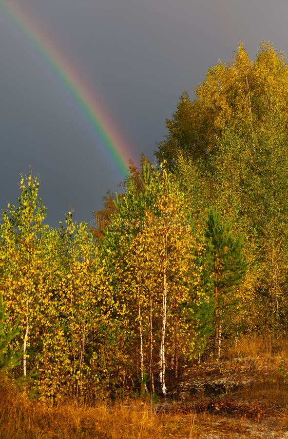Autumn landscape. Rainbow stock image. Image of leaf - 11100031