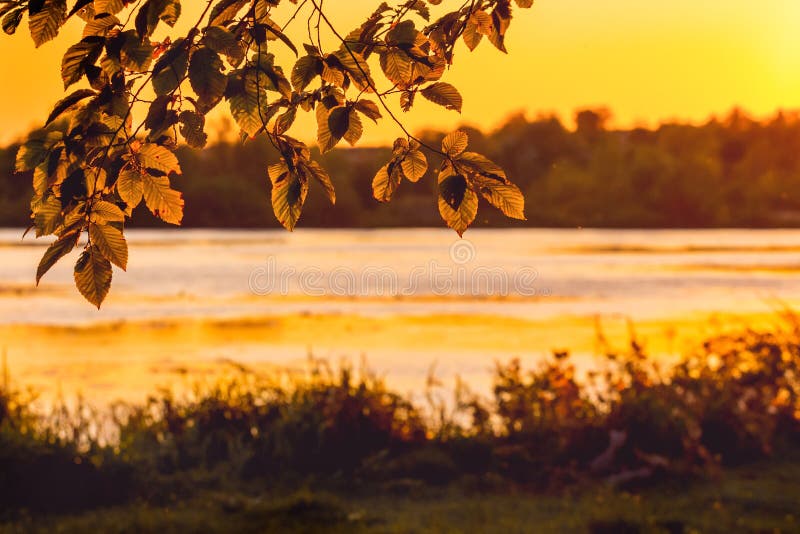 Autumn Landscape with River and Tree Branch at Sunset Stock Photo ...