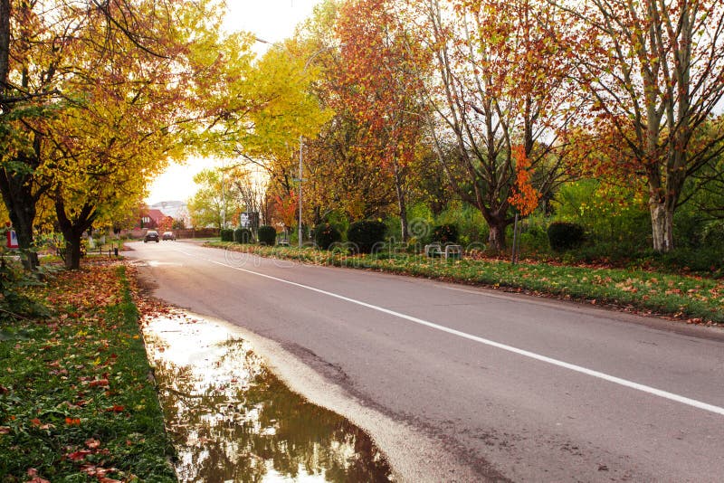 Spring road stock photo. Image of fresh, outdoor, nature - 1712372